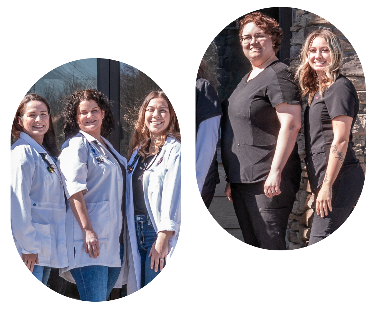 Veterinarian In Hayden, ID 83835 | Doc Holly Pet Vet